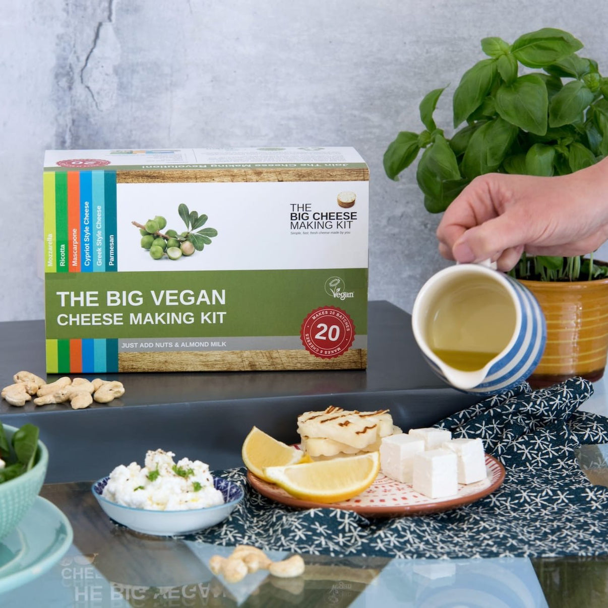 The Big Vegan Cheese Making Kit – big cheese making kit