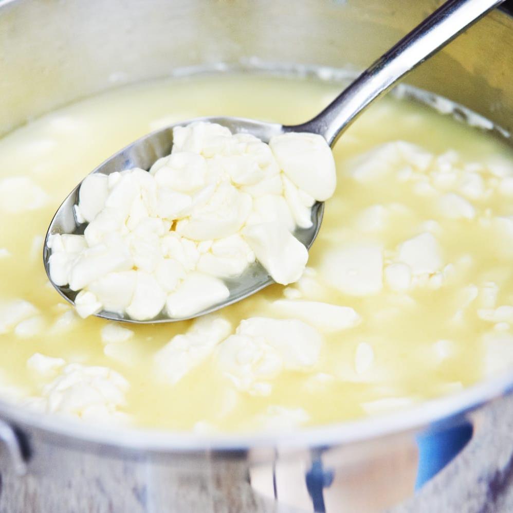 The Mediterranean Cheese Making Kit – big cheese making kit