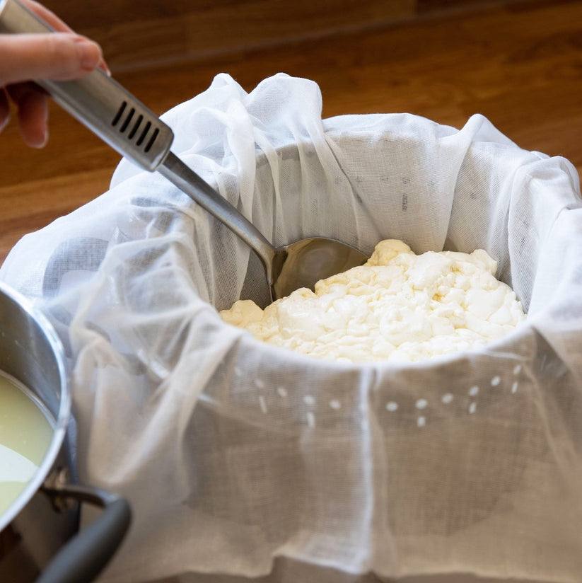 The Beer Lover’s Cheese Making Kit – big cheese making kit